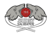 Sudet Salibandy ry